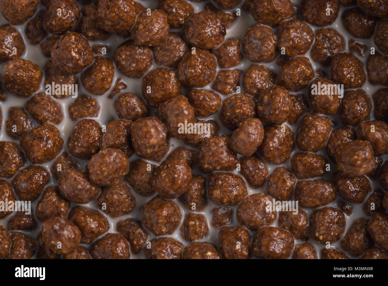 chocolate cereal breakfast closeup Stock Photo - Alamy