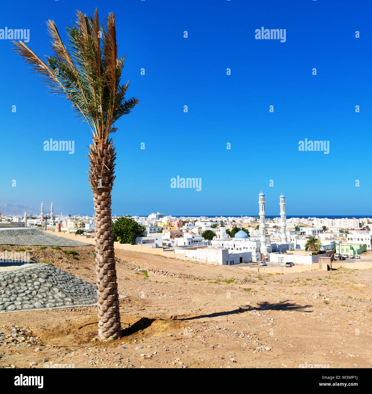 in muscat oman the cityscape and the palm near ocean view Stock Photo ...