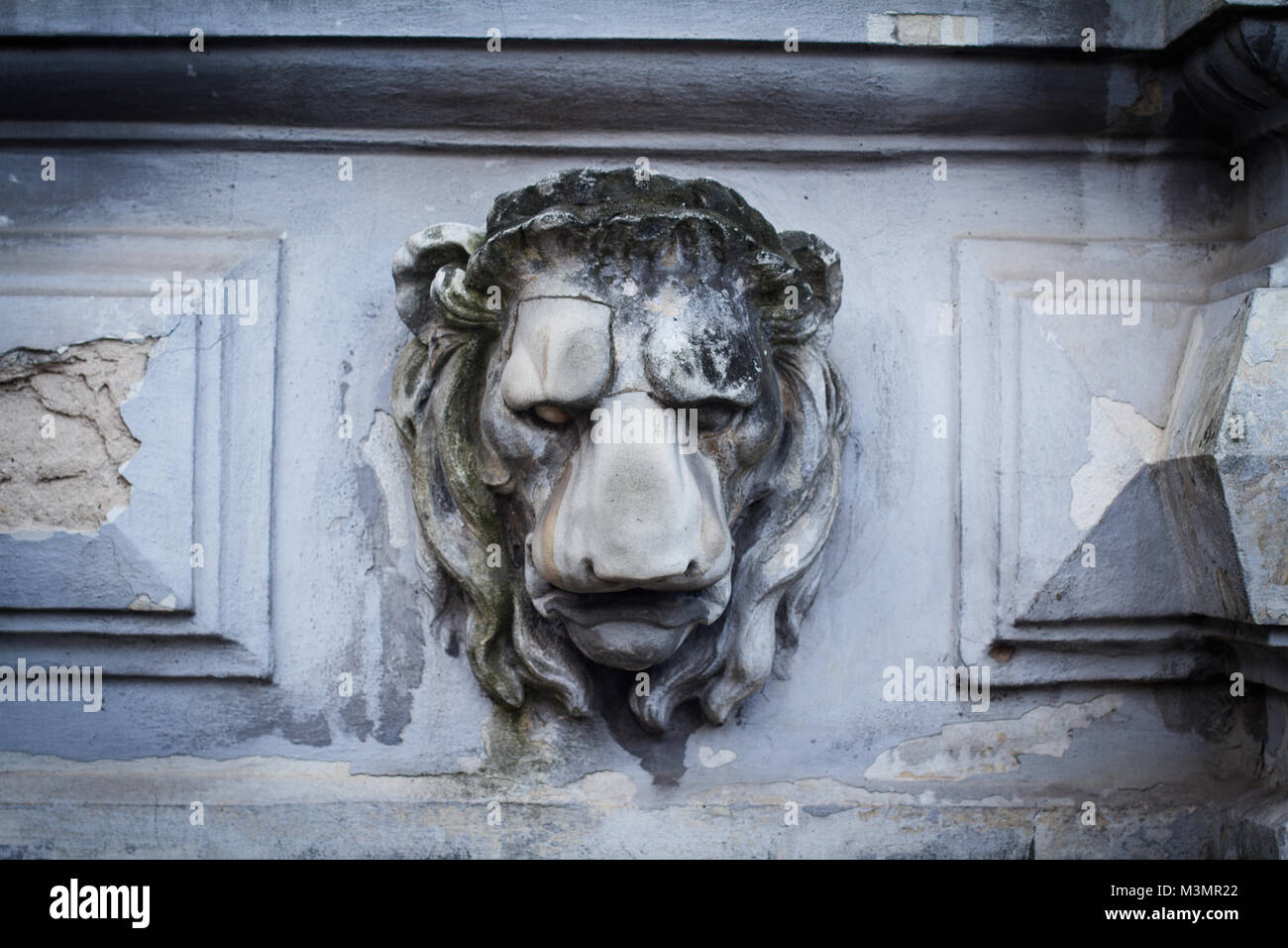 Lion head sculpture hi-res stock photography and images - Alamy