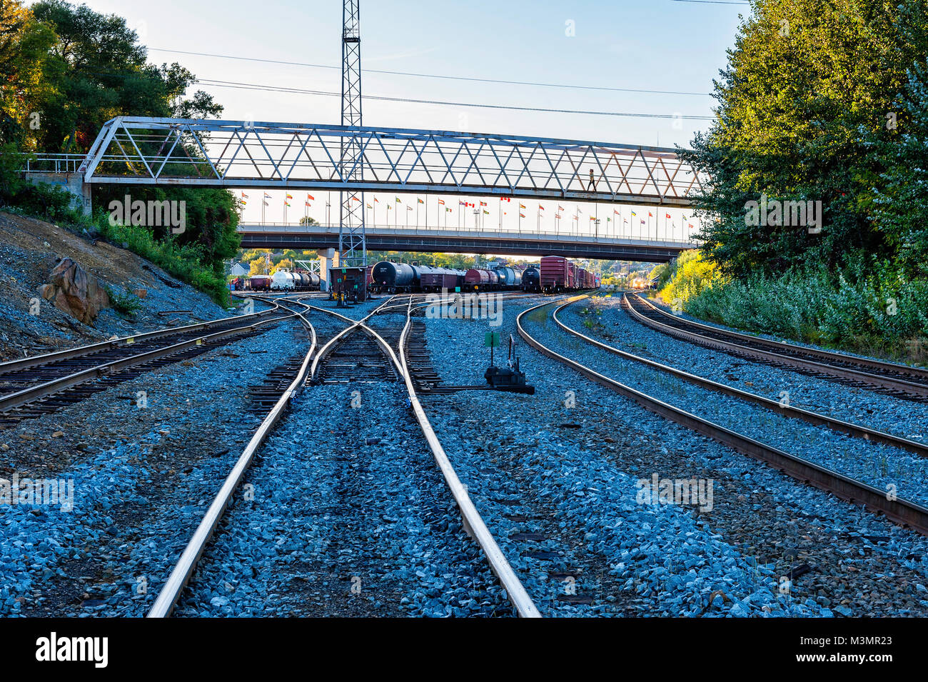 The Nelson Street bridge and The Bridge of Nations,viewed from the ...
