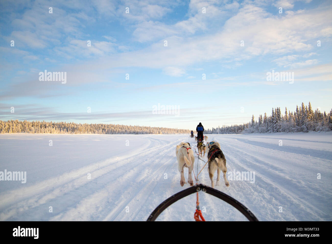 Rear view of huskies pulling sledge through snow covered landscape ...