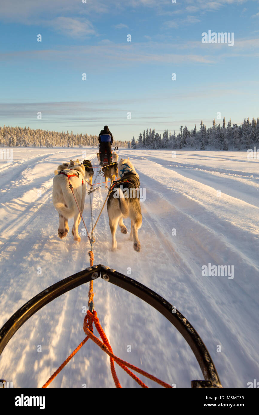 Rear view of huskies pulling sledge through snow covered landscape ...