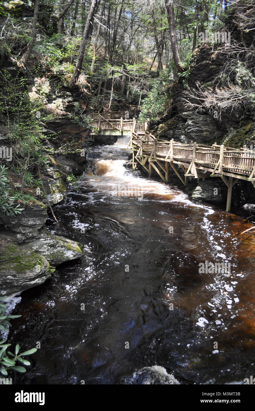 Natural Wood Walkway and Stairs Over Waterfalls in the Poconos ...