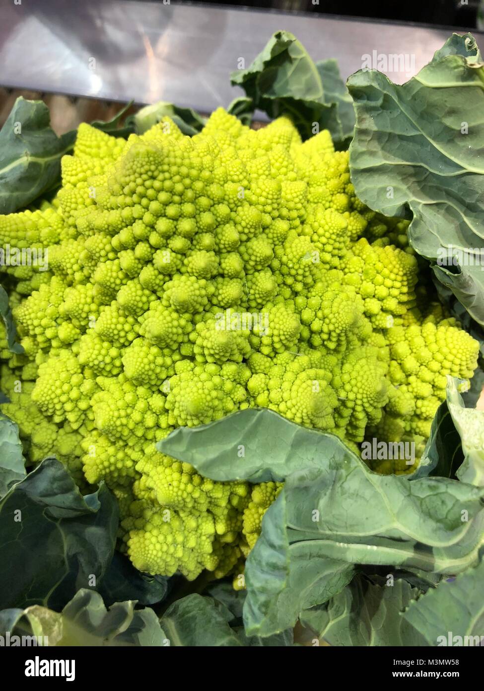 Romanesco broccoli cabbage (or Roman Cauliflower Stock Photo - Alamy