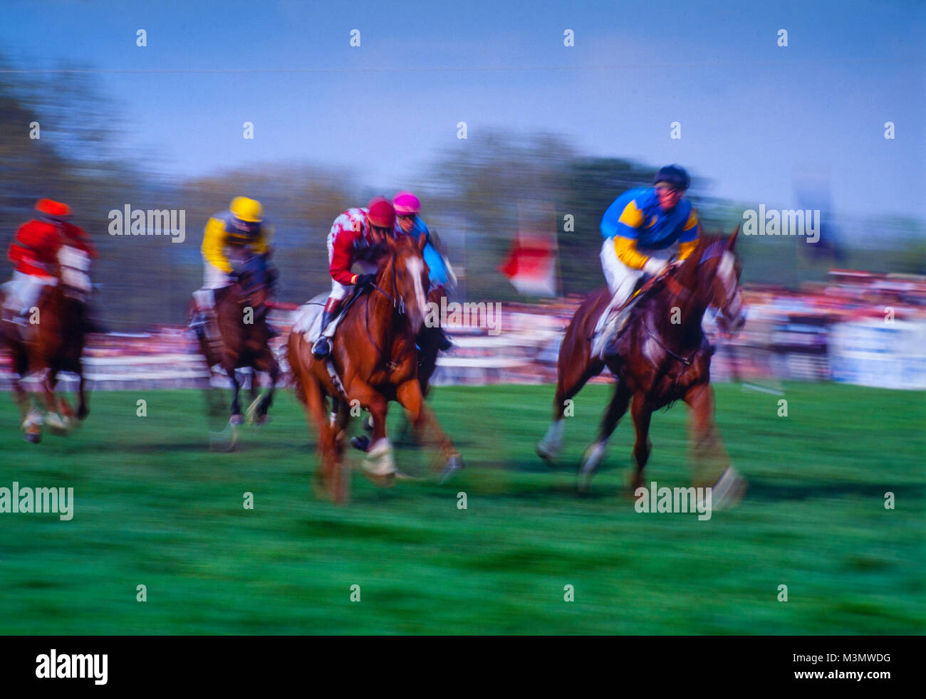 Horses racing on grass track blur with their speed Stock Photo - Alamy