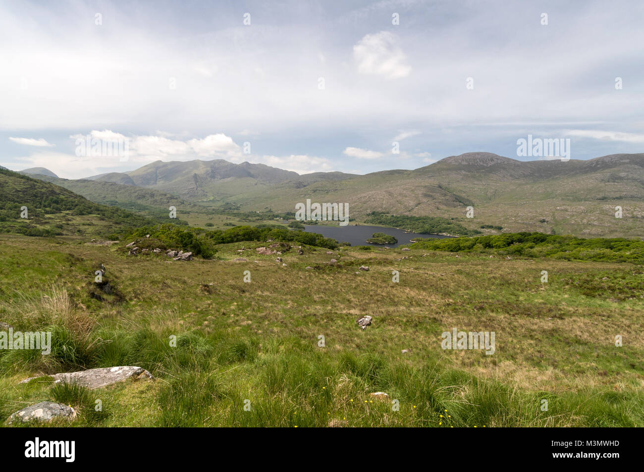 The MacGillycuddy's Reeks, a mountain range in the Ring of Kerry in ...