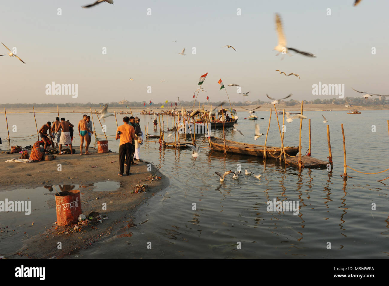 Birds of maha hi-res stock photography and images - Alamy