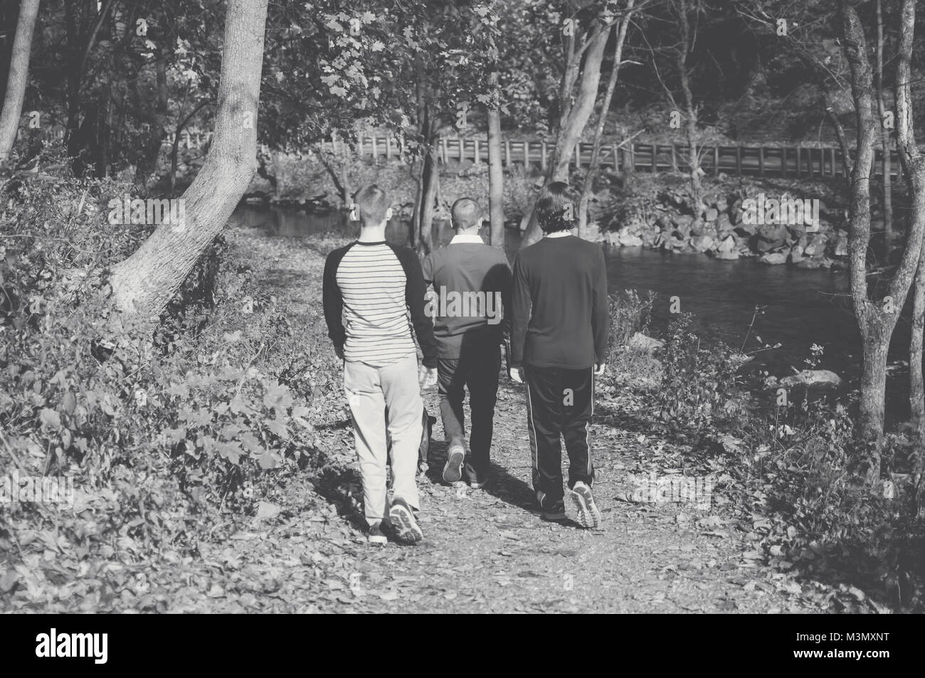 Father and Sons Walking Through a Wooded Park Stock Photo - Alamy