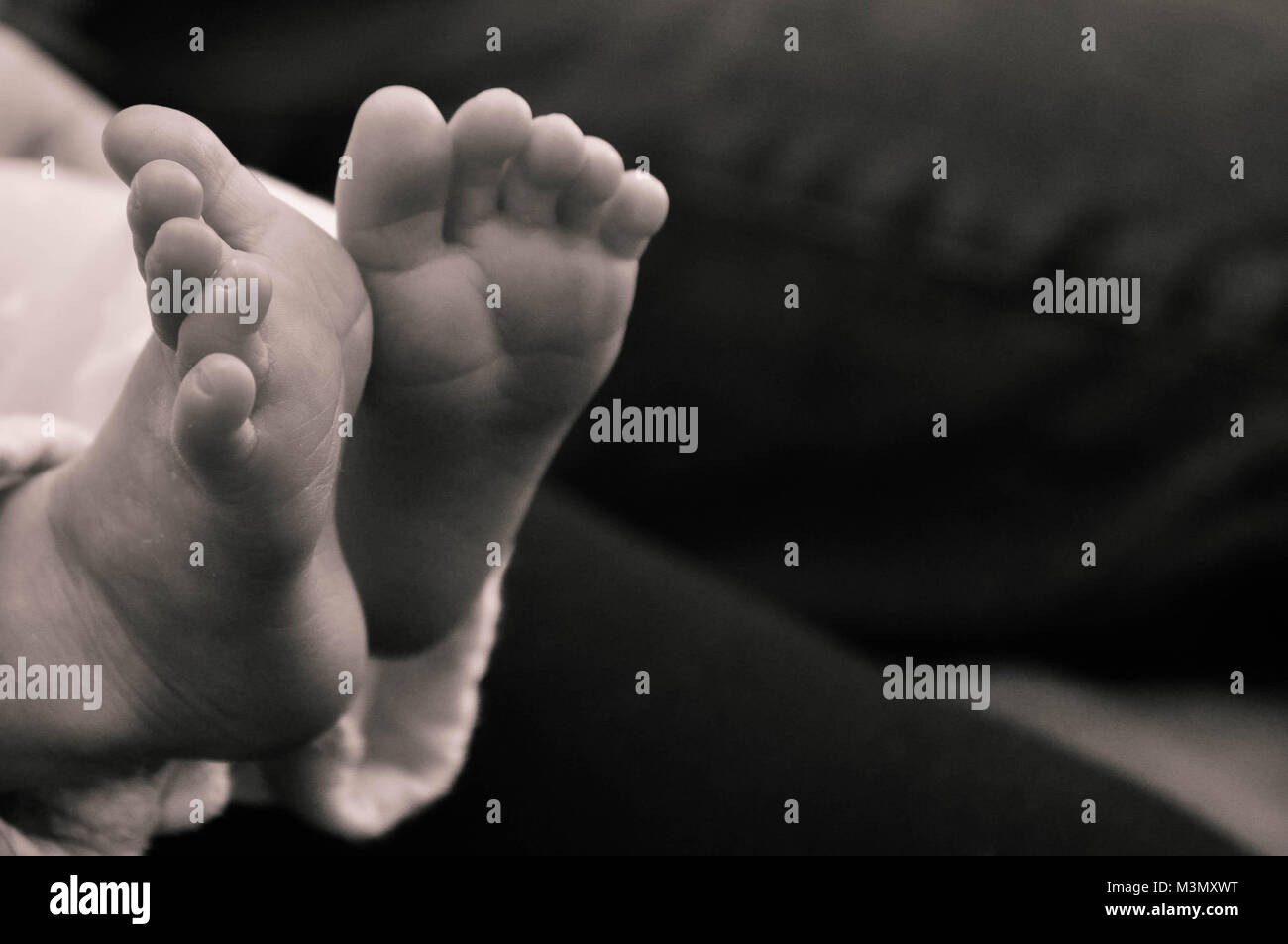 Newborn Baby Feet and Toes Stock Photo - Alamy