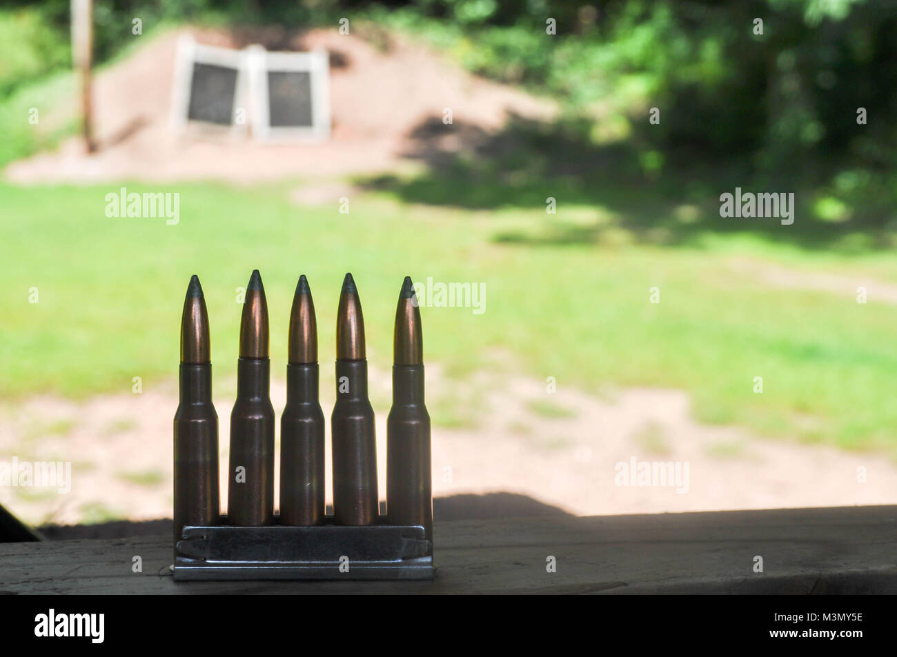 Mosin nagant rifle hi-res stock photography and images - Alamy