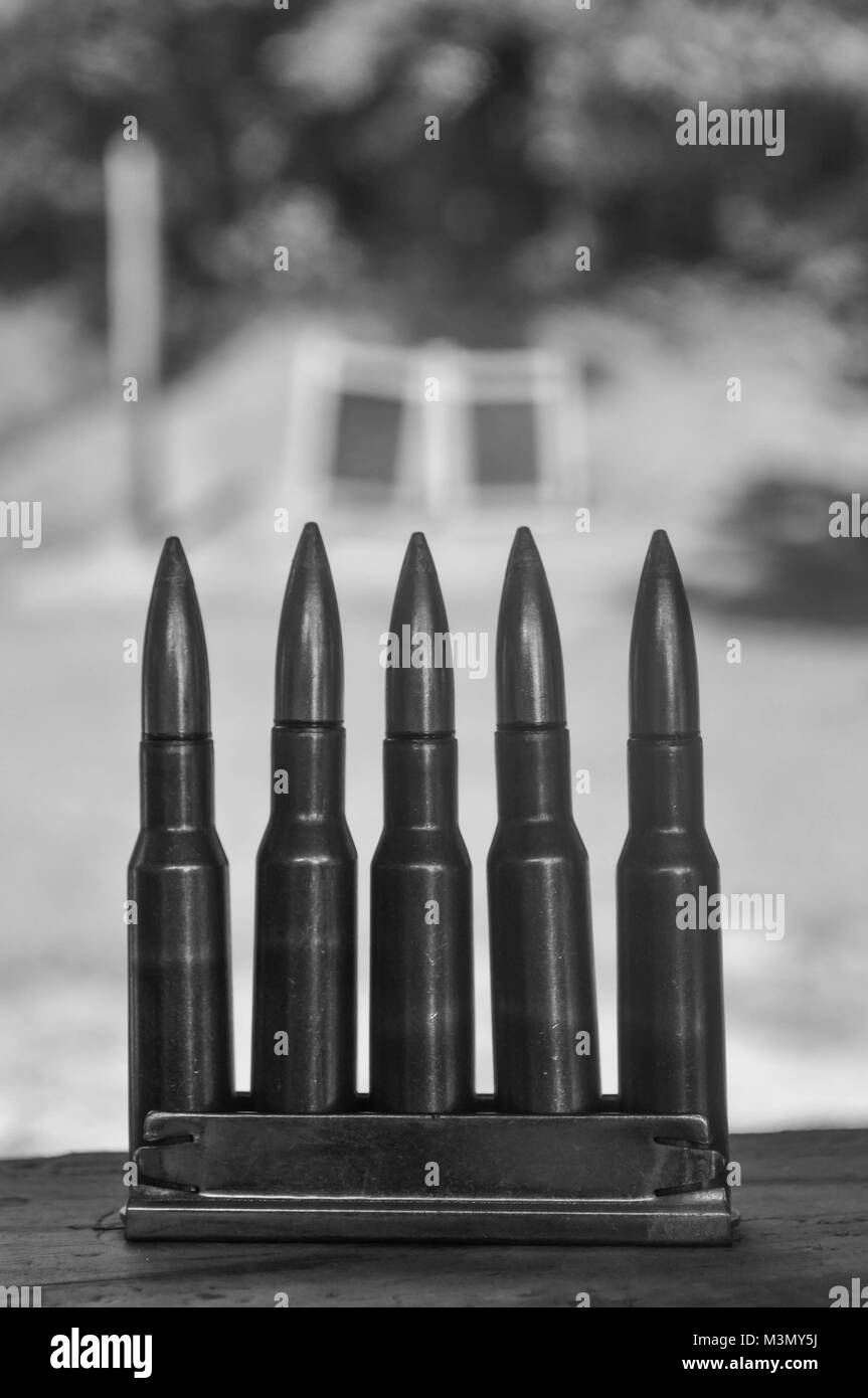 Live Unfired Ammunition Bullets 7.62x54 for a Mosin Nagant Rifle Gun ...