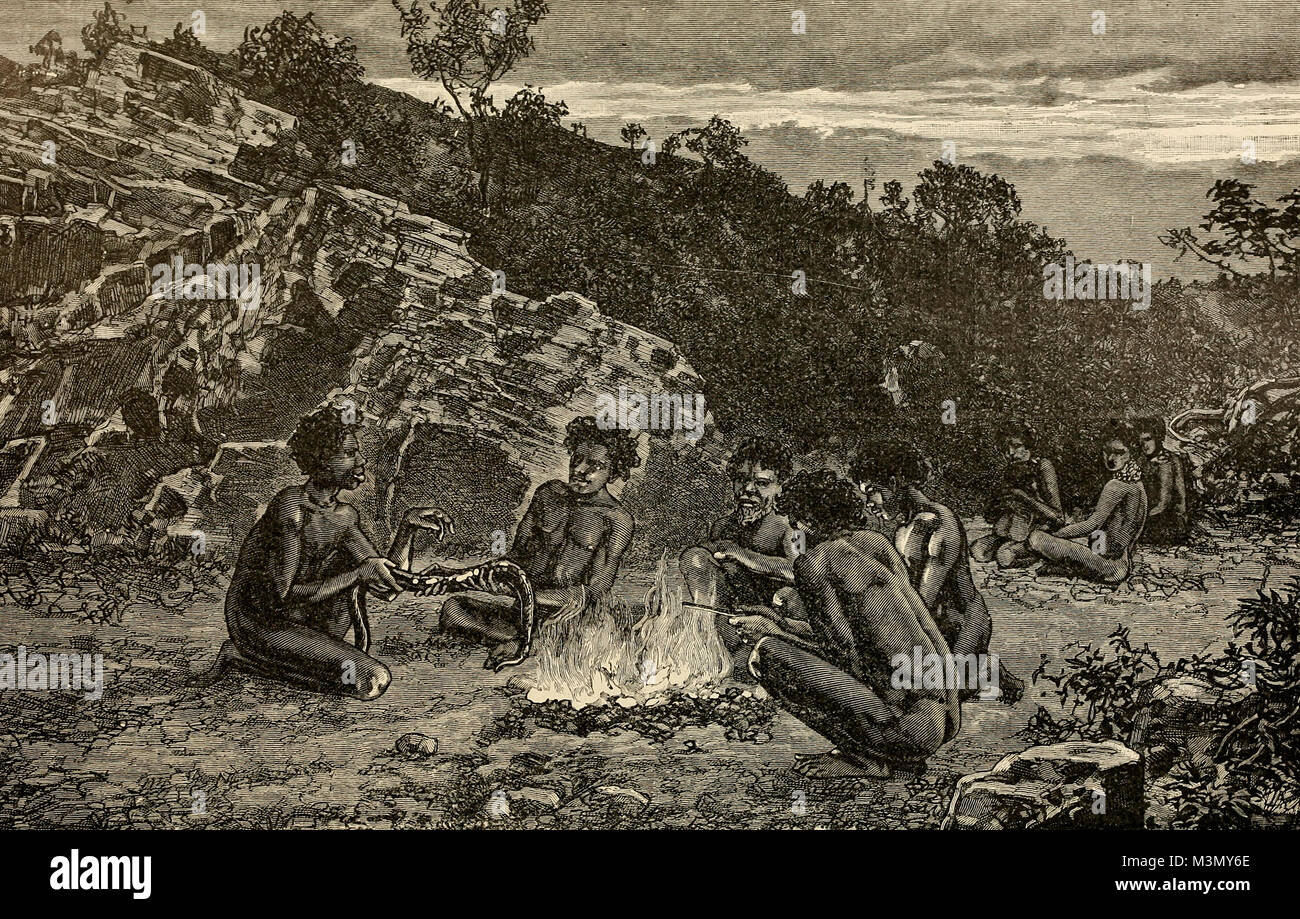 Bushmen making poison for their arrows - Australia Stock Photo - Alamy