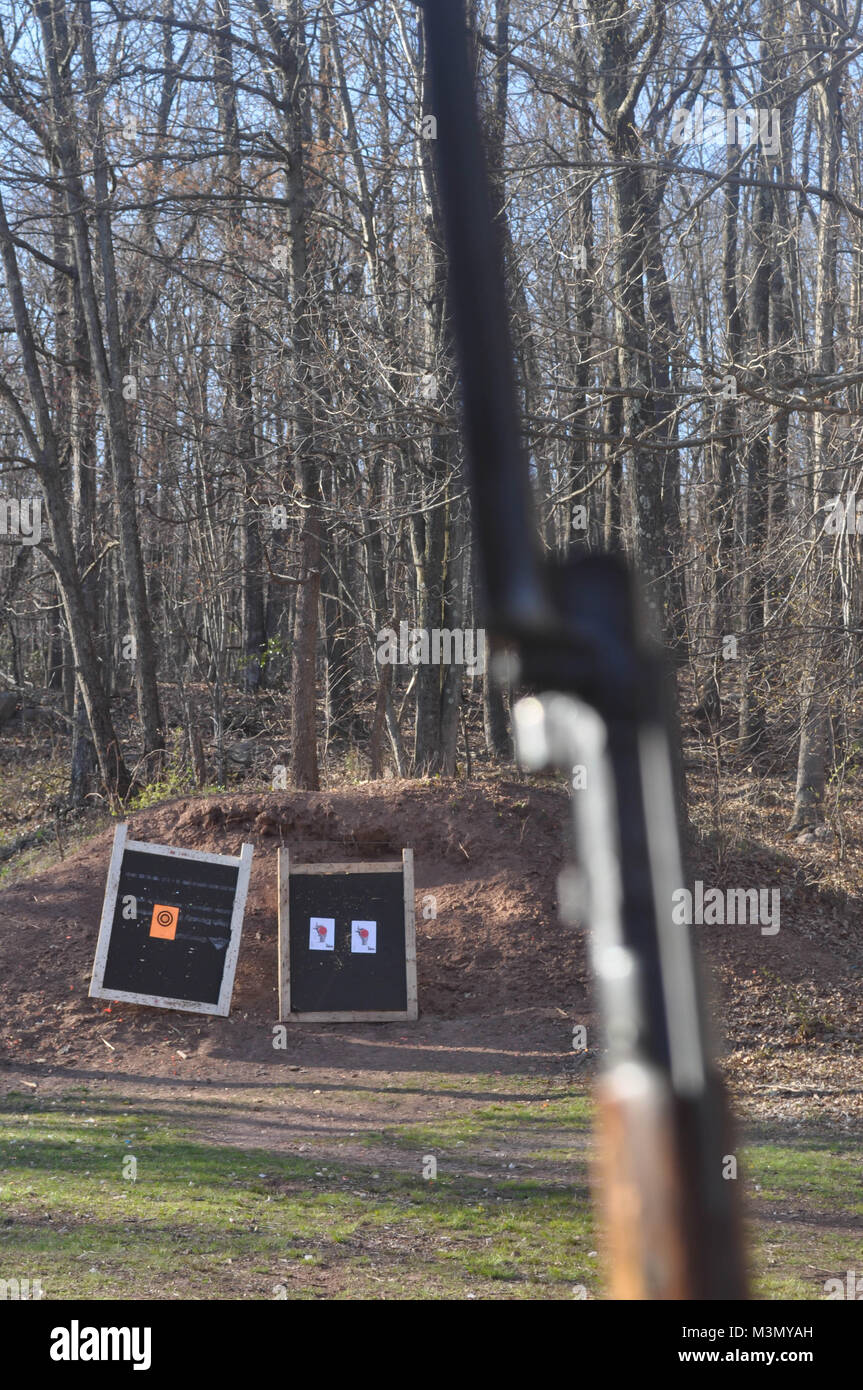 Mosin Nagant Gun Rifle with a Bayonet Attached at a Shooting Range ...