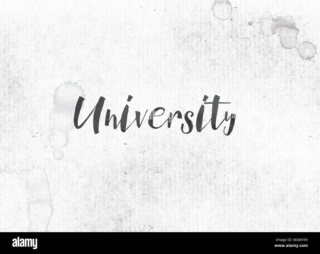 The word University concept and theme painted in black ink on a ...
