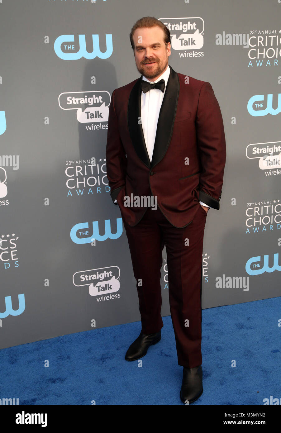 23rd Annual Critics' Choice Awards at Barker Hanger Featuring: David ...