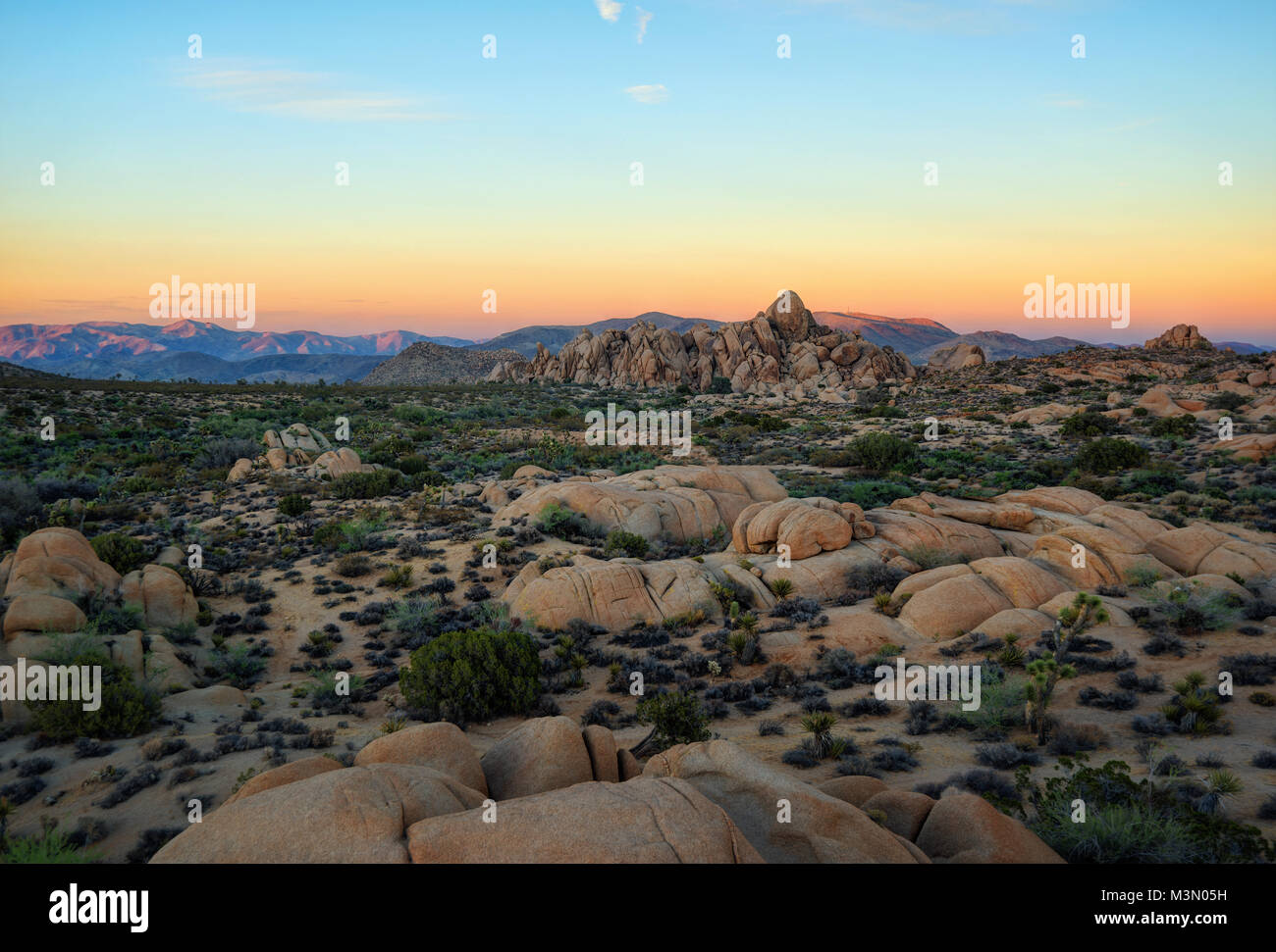 Joshua Tree Sunset taken in 2015 Stock Photo - Alamy