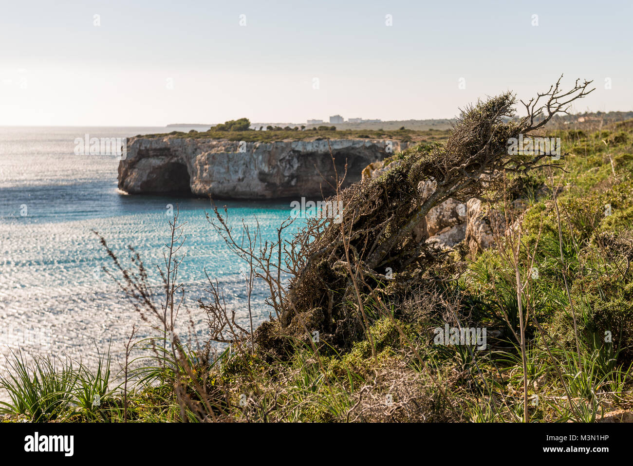 Cliffs, capes and coves of the mediterranean sea near Cala Falco on the ...