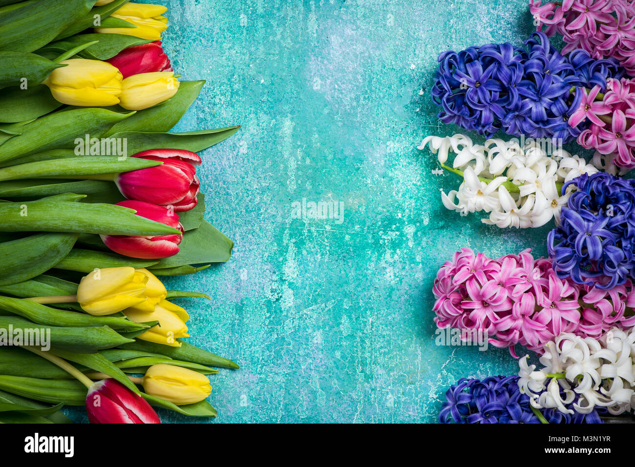 tulips and hyacinth flowers border background Stock Photo - Alamy