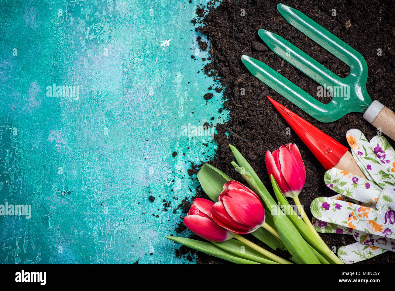 Springtime gardening works tools background Stock Photo - Alamy