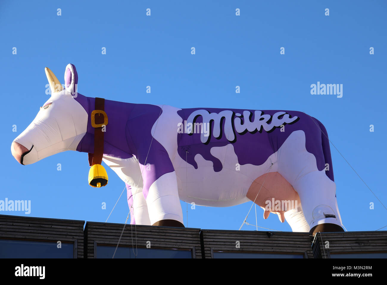 Milka-Kuh auf einem Dach der Allgäu Arena beim Auftaktspringen ...