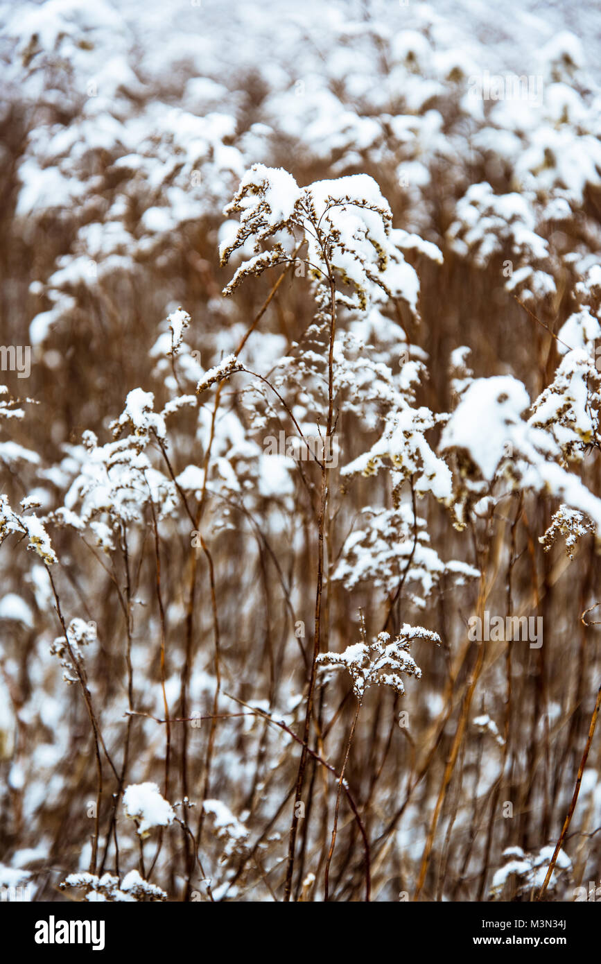 Melancholy image hi-res stock photography and images - Alamy
