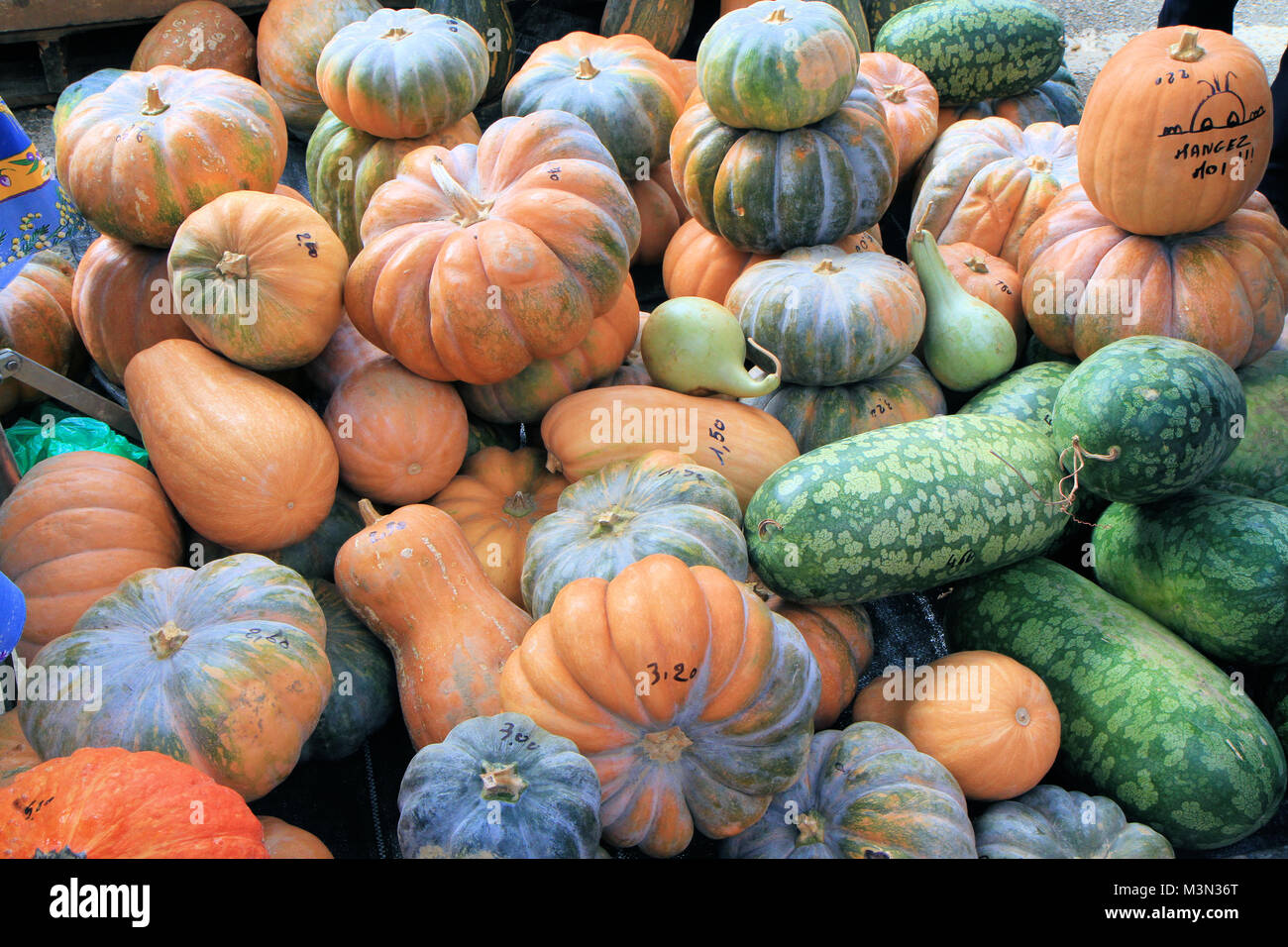 Stack of pumpkins Stock Photo - Alamy