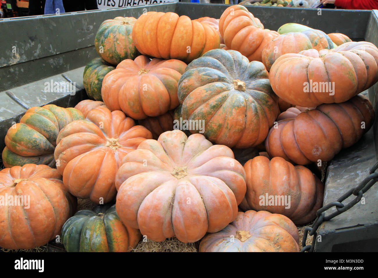 Stack of pumpkins Stock Photo - Alamy