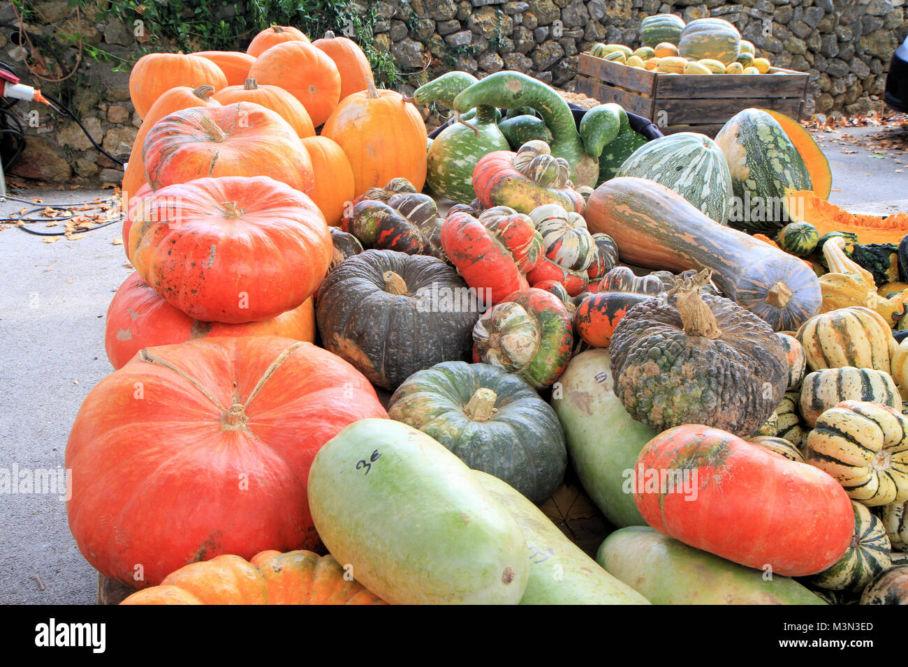 Stack of pumpkins Stock Photo - Alamy