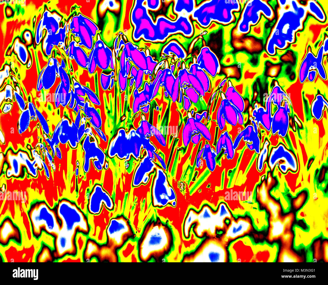 Psychedelic 2025 Calendar Google Drive - Beatriz Henderson Psychedelic 2025 Calendar Google Drive - Beatriz Henderson