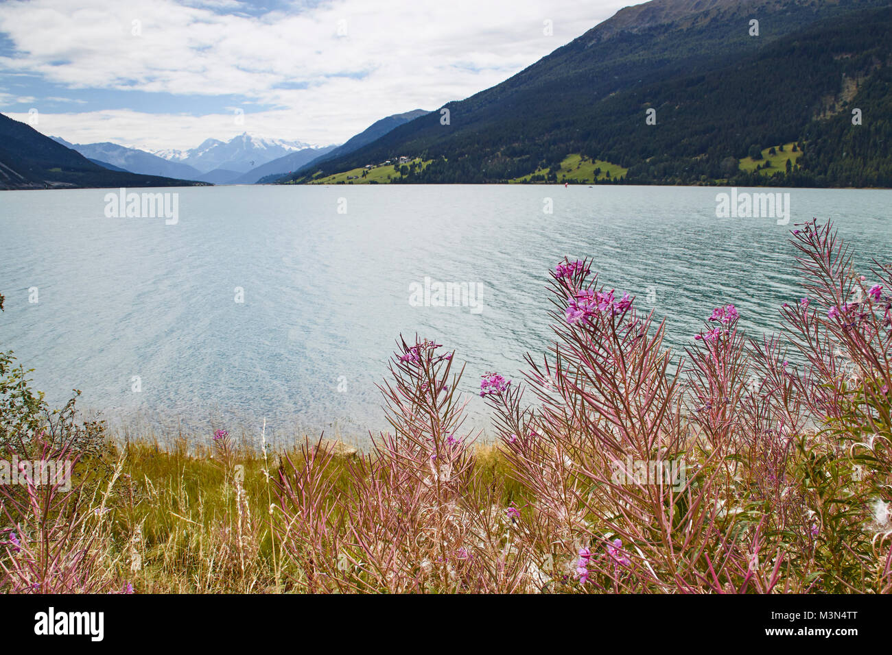 Reschensee, Graun im Vinschgau, Südtirol Stock Photo - Alamy