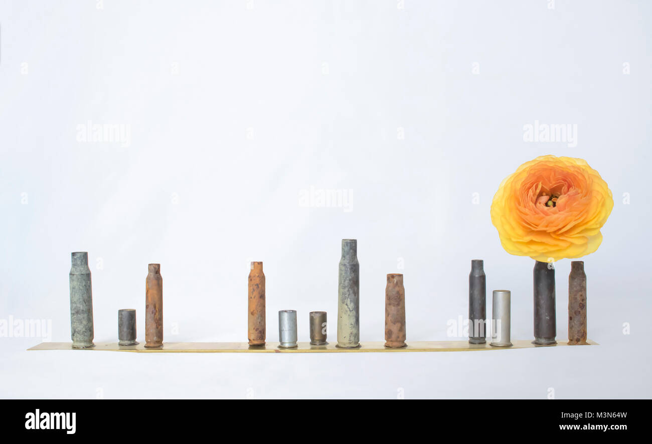 Bullet casings hi-res stock photography and images - Alamy