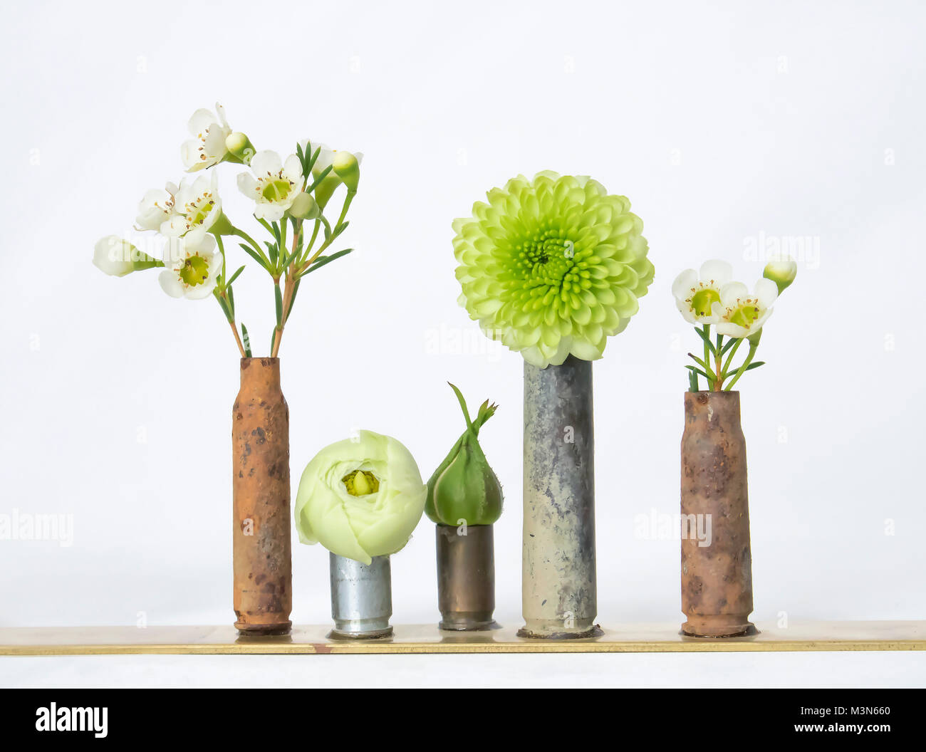 Old Rusted Bullet Casings Hold Different Fresh Plants and Flowers on ...