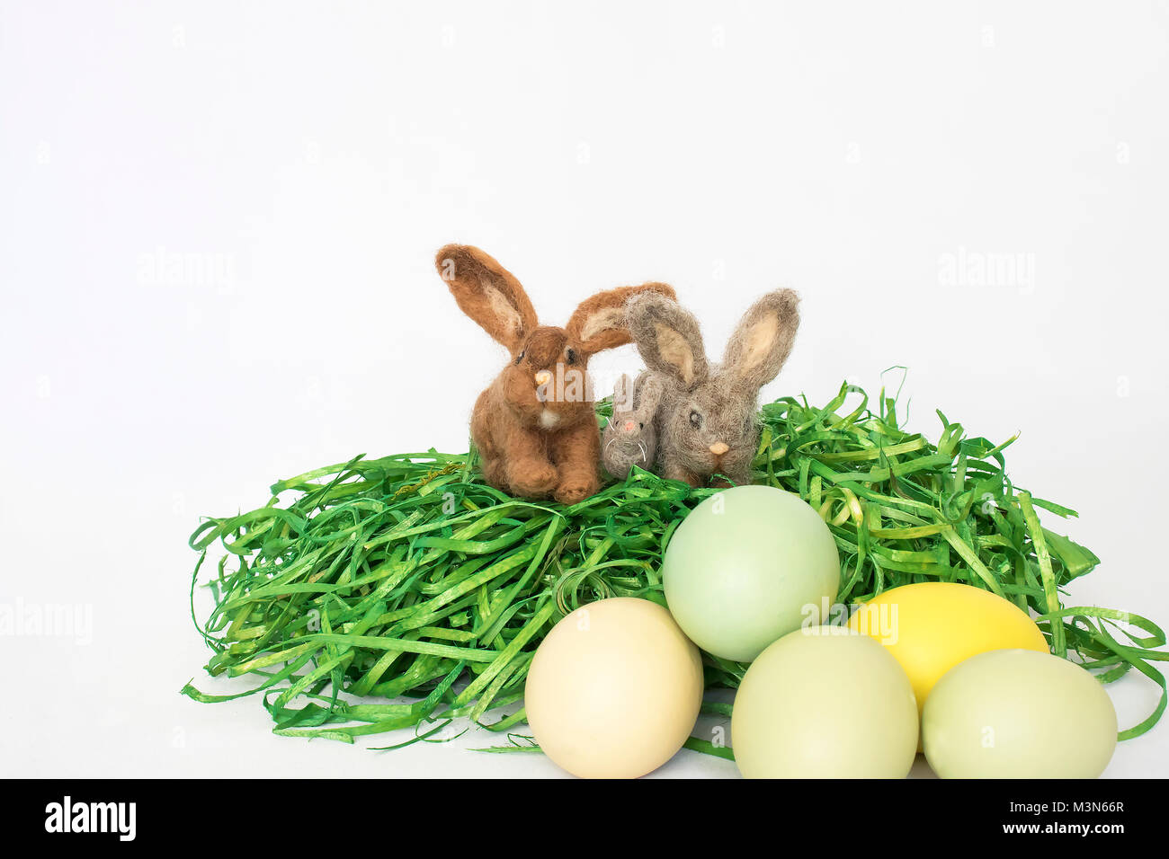 Spring bunnies rabbits hi-res stock photography and images - Alamy