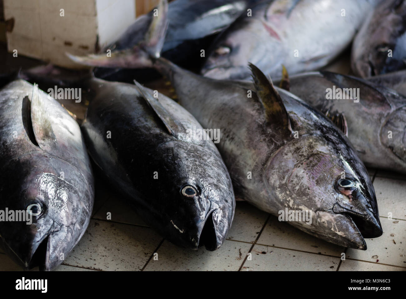 Fish tale hi-res stock photography and images - Alamy