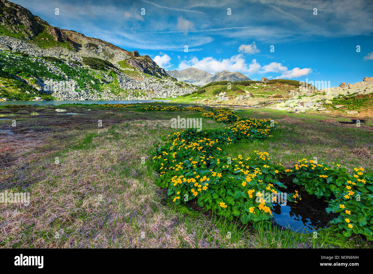 Stunning glacier lake, high mountains, cloudy sky and wonderful yellow ...