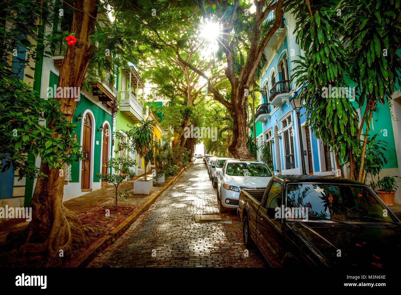 Beautiful street full of trees in old San Juan, Puerto Rico Stock Photo ...