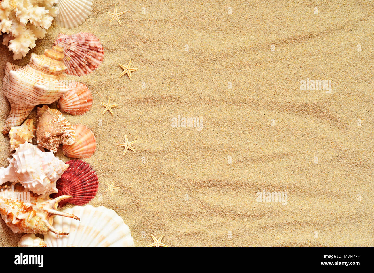 sea shells with sand as background. Summer concept Stock Photo - Alamy
