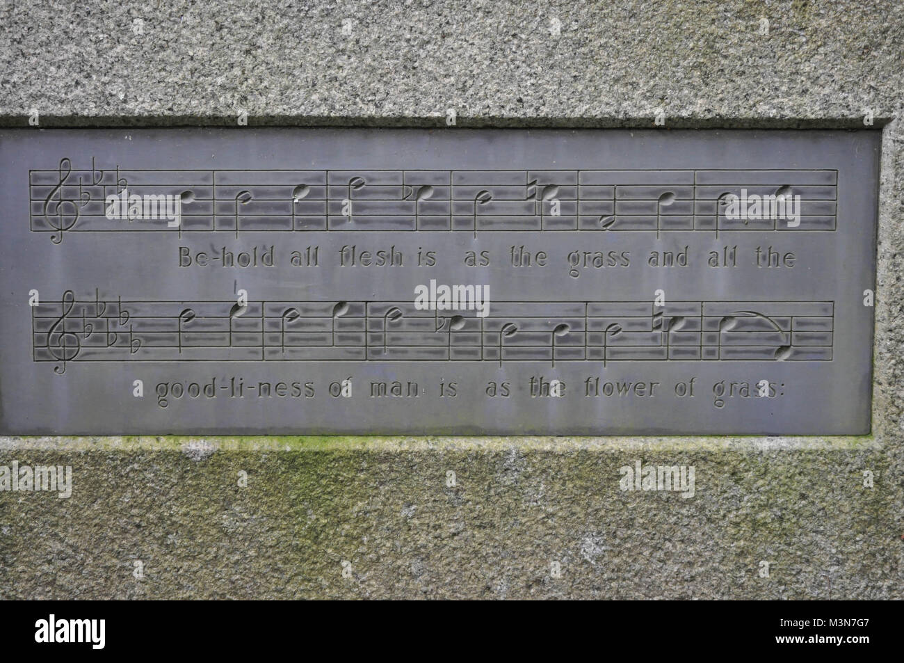 Classical music symbol hi-res stock photography and images - Alamy