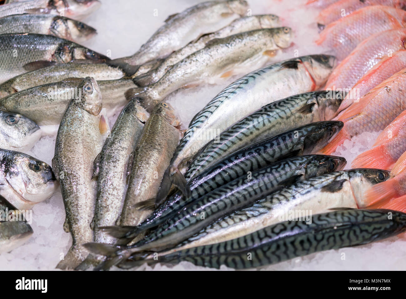 Fresh sea fish on ice in supermarket. Healthy and healthy food Stock ...