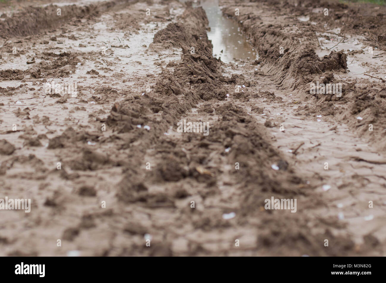 Mud soil with tracks brown texture background natural photography dof ...