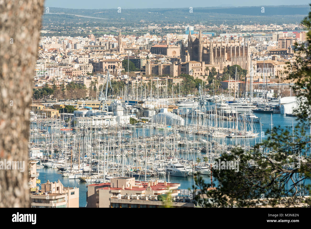 View of the coast of the city of Palma de Mallorca from the viewpoint ...