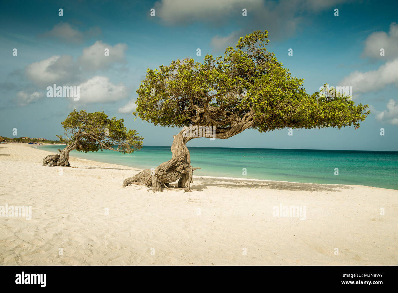 Eagle beach aruba hi-res stock photography and images - Alamy