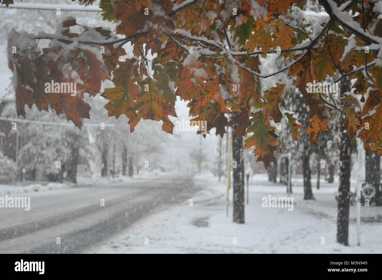 Unexpected Early Snow Storm in the Fall Season Stock Photo - Alamy