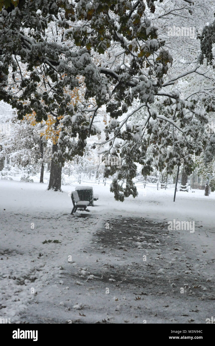 Unexpected Early Snow Storm in the Fall Season Stock Photo - Alamy