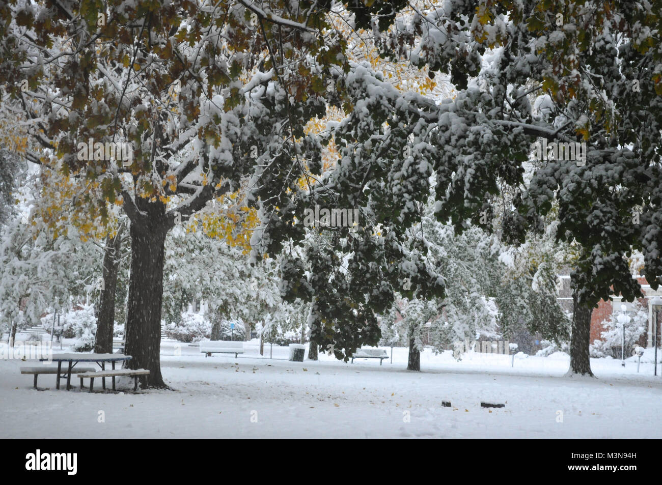 Unexpected Early Snow Storm in the Fall Season Stock Photo - Alamy