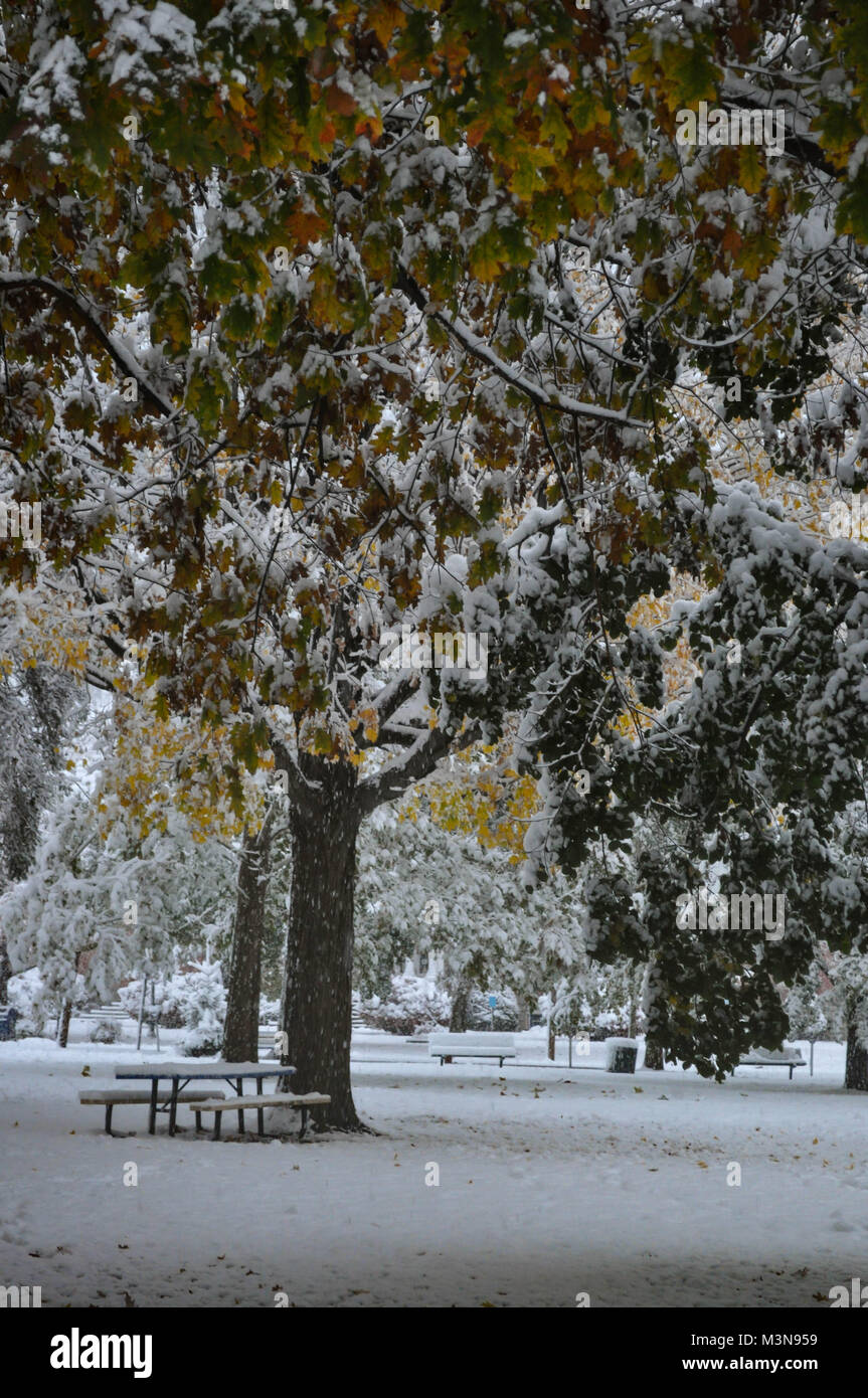 Unexpected Early Snow Storm in the Fall Season Stock Photo - Alamy