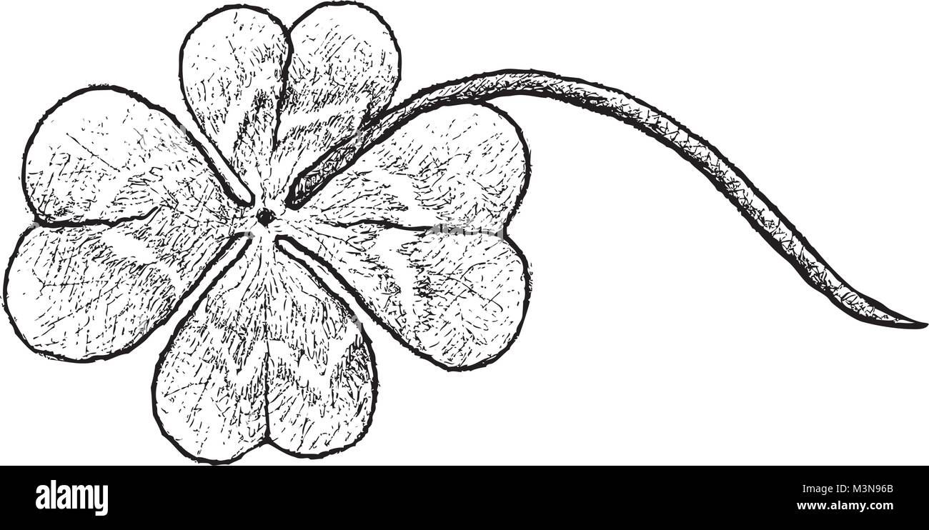 Symbols for Fortune and Luck, Illustration Hand Drawn Sketch of Fresh ...