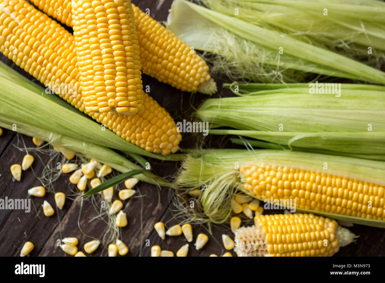 freshly healthy harvested organic corn Stock Photo - Alamy