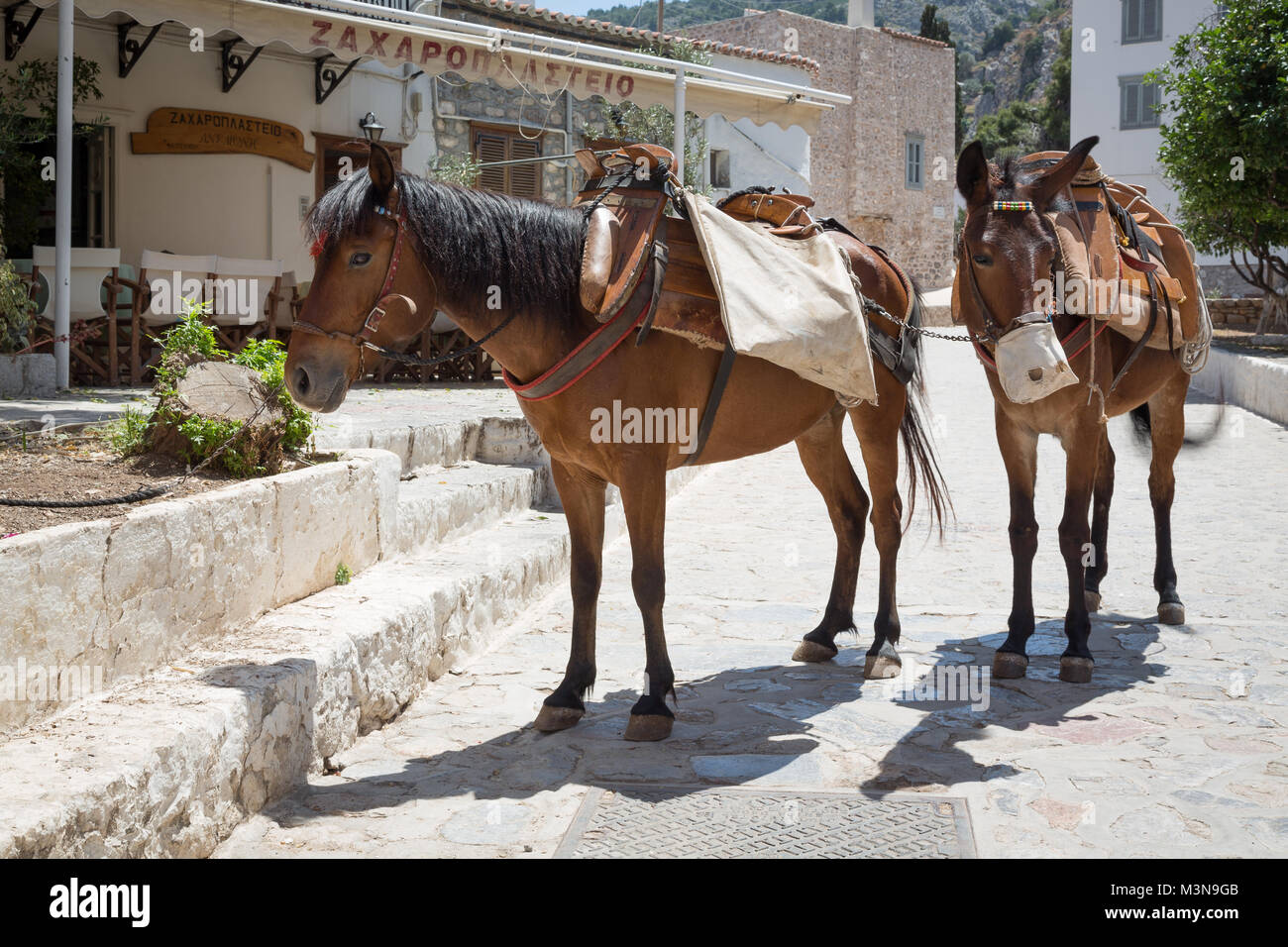 Famous donkeys of Hydra, Greece Stock Photo - Alamy