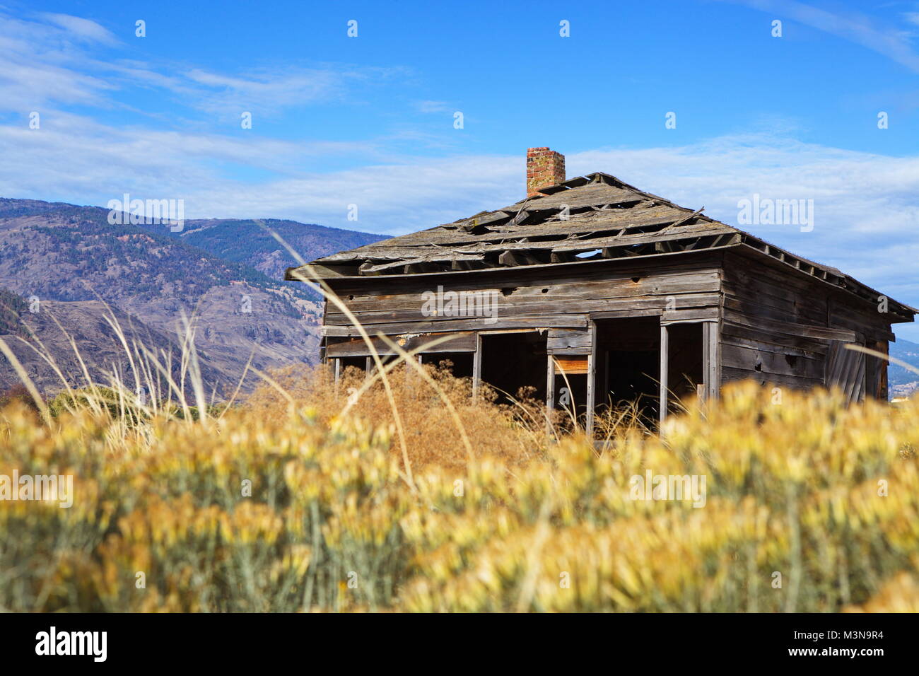 Homestead rush hi-res stock photography and images - Alamy